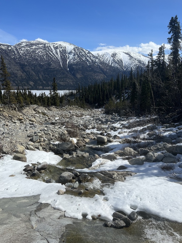 Kusawa Ridge Hiking Trail - Yukon | Trailforks