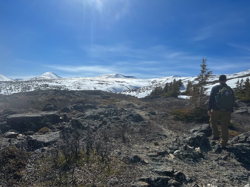 Kusawa Ridge Hiking Trail - Yukon | Trailforks