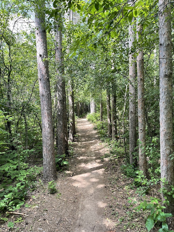 Waterways Trail Hiking Trail - Brantford, Ontario