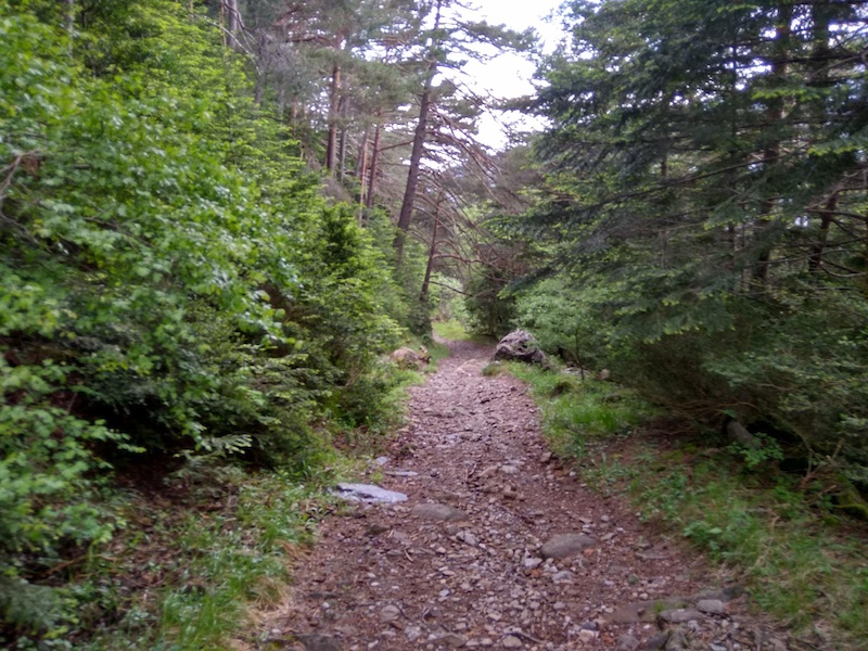 Collarada - Pico Fraile- Collaradeta Hiking Route | Trailforks