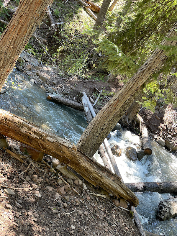 Russell Ridge Multi Trail - Rimrock, Washington