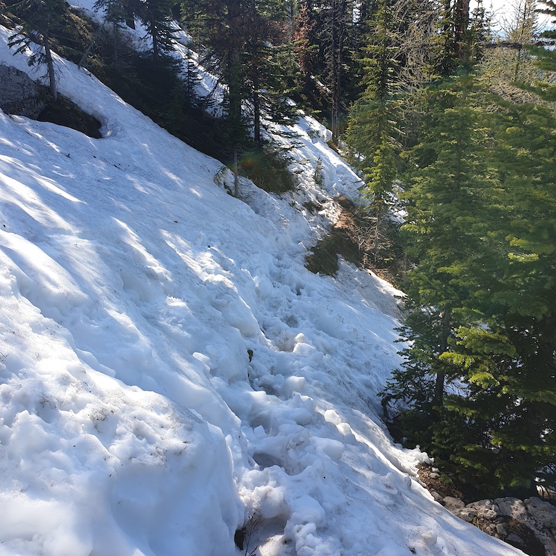 Pedley Pass Hiking Trail - Invermere, BC | Trailforks