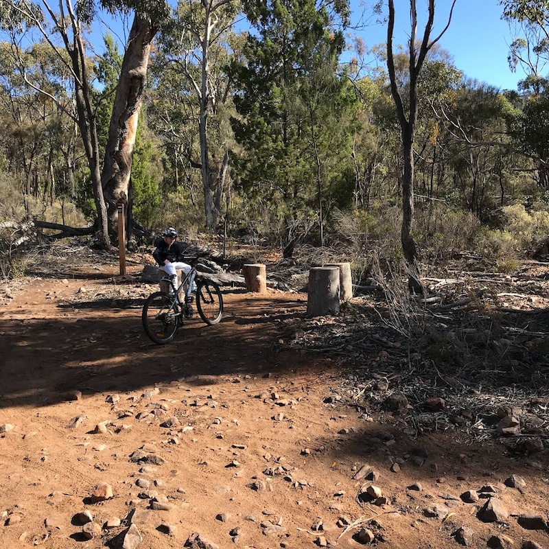 Possum Magic Mountain Biking Trail - Melrose