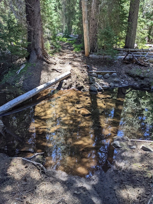 Metolius-Windigo Oldenberg Lake section Multi Trail - Oakridge
