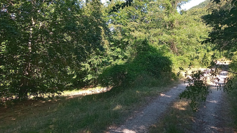 SP Crocella - Fonte Sepinia Multi Trail - | Trailforks