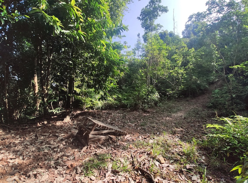 Bukit Balik Hidung Mountain Biking Trail - | Trailforks
