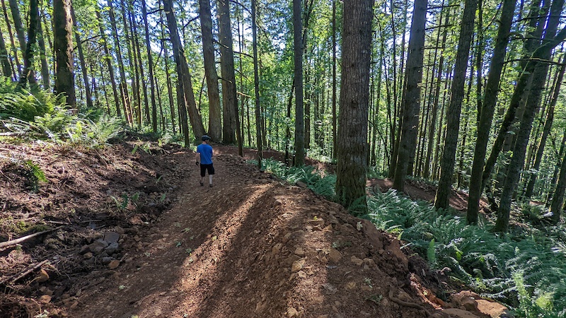 Super Maple Loop - Quartz Park Mountain Biking Route | Trailforks