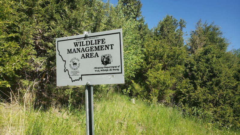 Stucky Ridge WMA Multi Trail - Anaconda, Montana