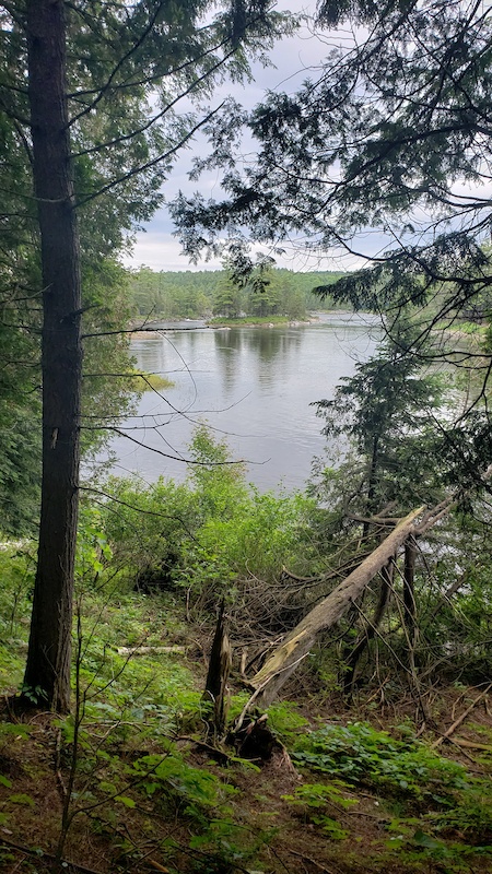 Lower Beach Trail Multi Trail - Beachburg, Ontario