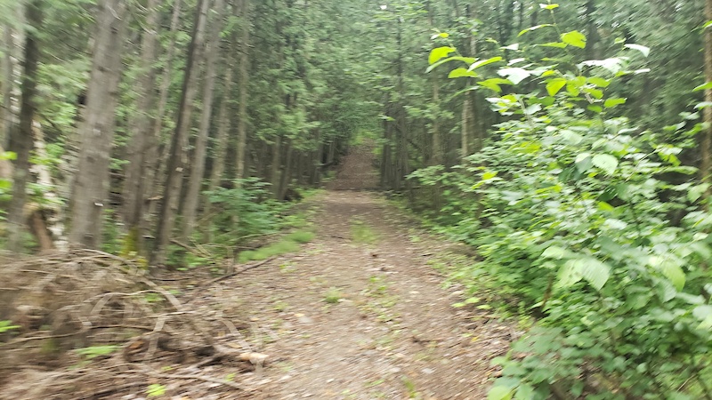 Lower Beach Trail Multi Trail - Beachburg, Ontario
