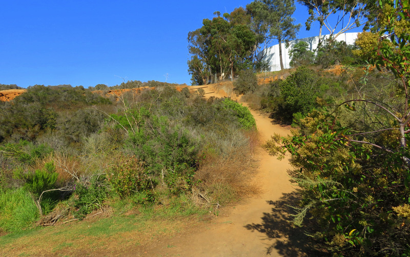 Easy Encinitas | Trailforks