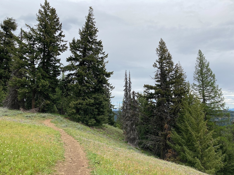 Manastash Lake Dirtbiking Trail - Naches, Washington