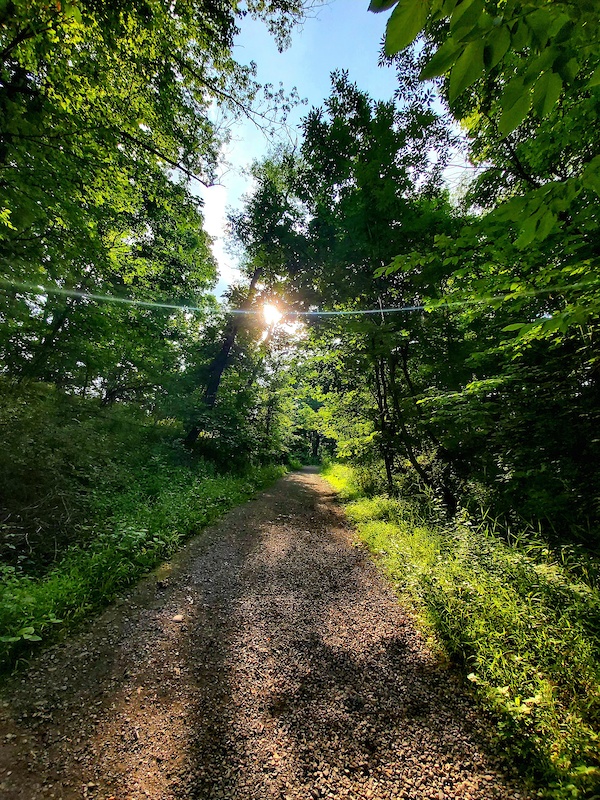 Sassafras Point Trail Hiking Trail - Hamilton, Ontario