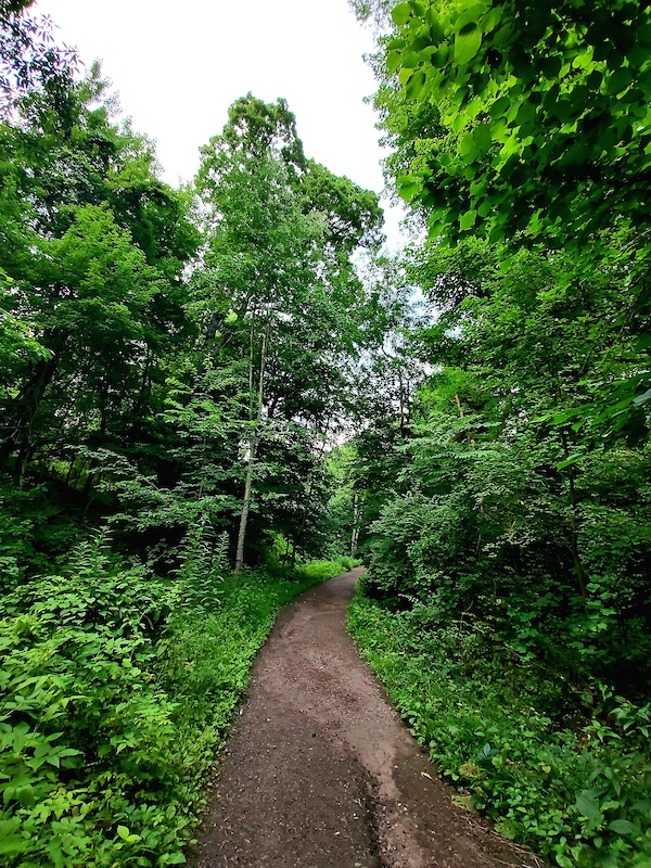 Ravine Road Trail Hiking Trail - Hamilton, Ontario