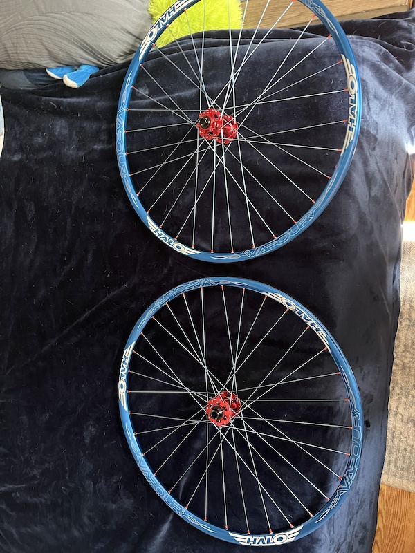 2021 Halo 29” XD Supadrive Titanium Spokes For Sale