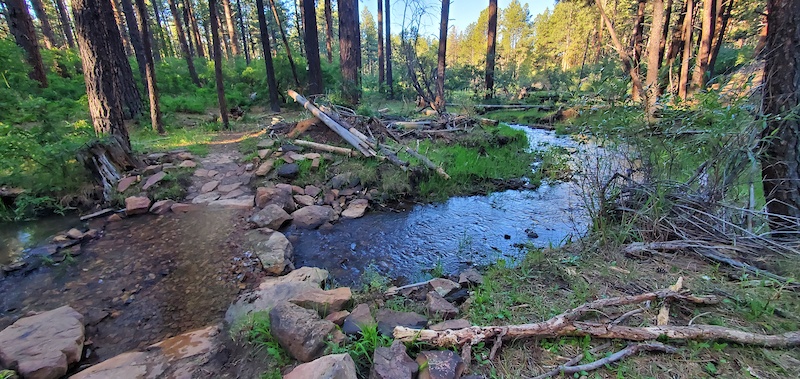 The Whole Chicken Mountain Biking Route | Trailforks