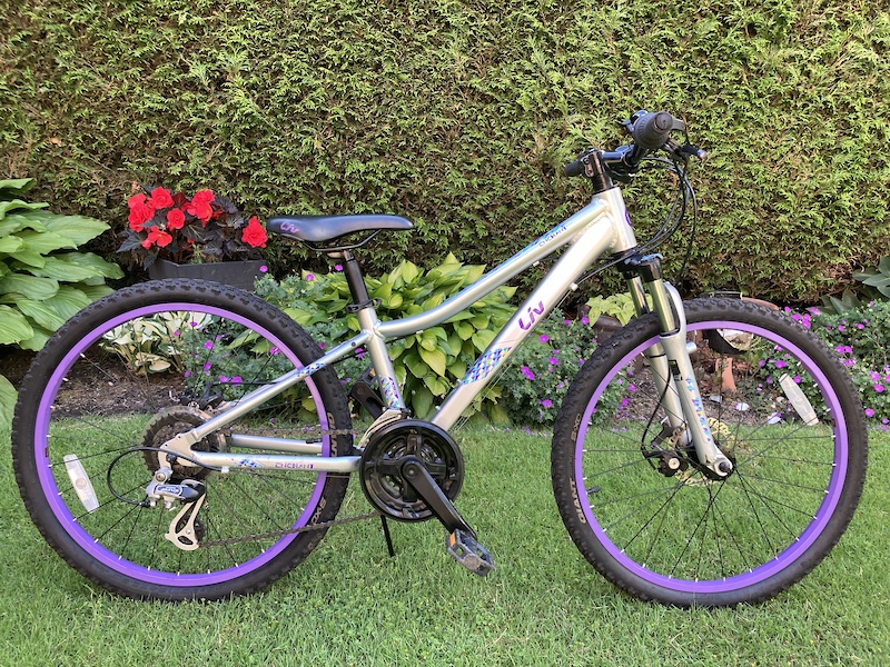 2018 24” Liv Enchant For Sale