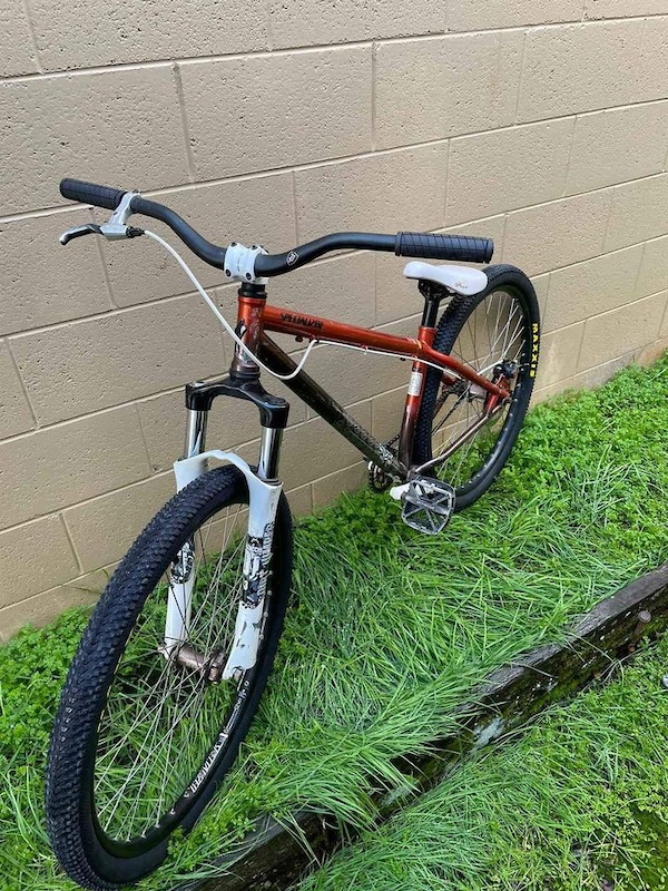 2009 Specialized P3 Large frame For Sale
