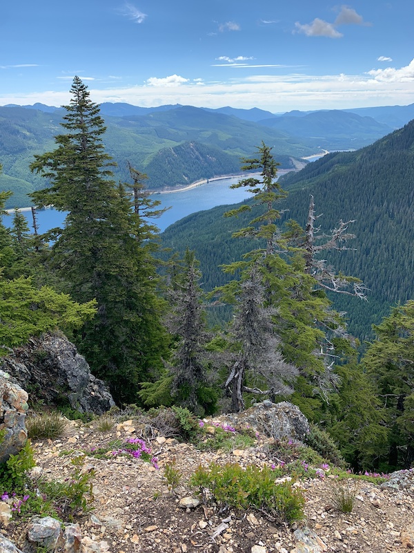Mount Catherine Trail Hiking Trail - North Bend, WA