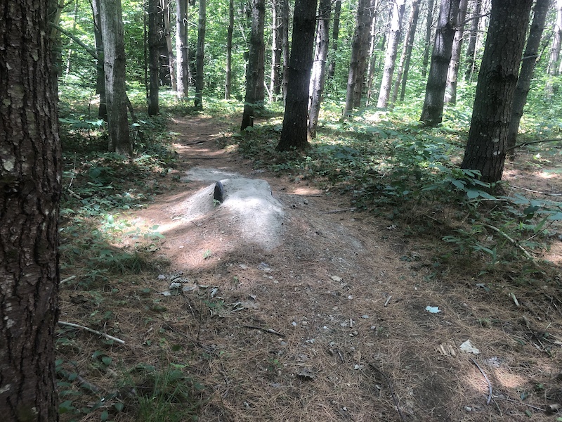 Roller Coaster Extension Multi Trail - Bartlett, NH