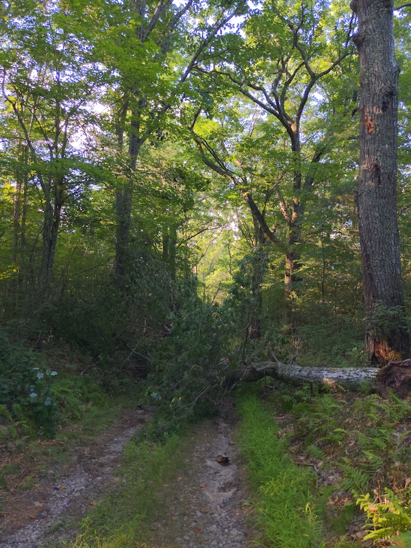 WRW Gravel: Rutland State Park Easy 3mi Mountain Biking Route | Trailforks