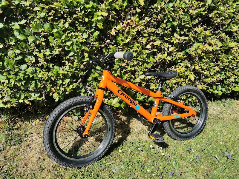 2020 ORANGE POP For Sale