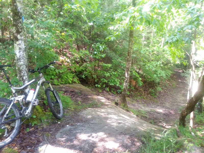 Collier Ridge East Mountain Biking Trail - Oneida, TN