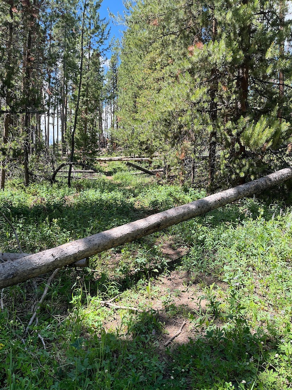 Froot Loop Mountain Biking Trail - Tabernash, Colorado
