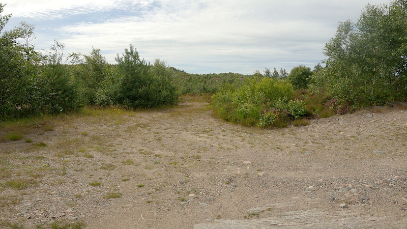 Berg Och Sumpmark Multi Trail - Ale | Trailforks