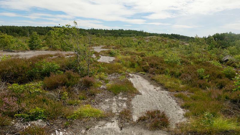 Berg Och Sumpmark Multi Trail - Ale | Trailforks