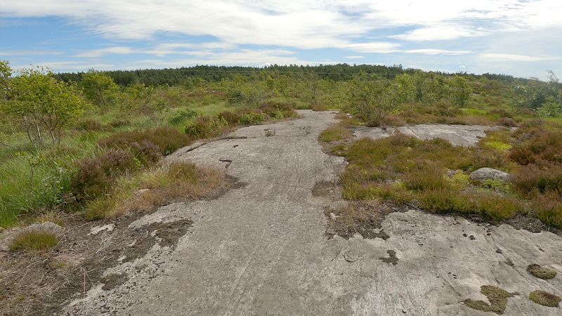 Berg Och Sumpmark Multi Trail - Ale | Trailforks