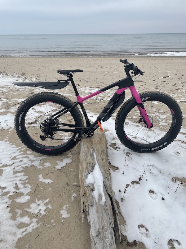 2020 Salsa Beargrease - SRAM NX Eagle For Sale