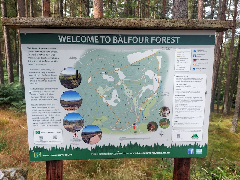 Balfour Forest Mountain Biking Trails | Trailforks