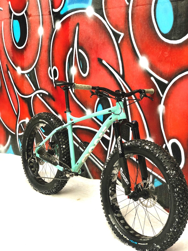 2020 Moose 2 custom build For Sale