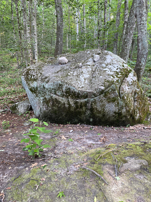 Ben Utter Trail (AMC Narragansett) Hiking Route | Trailforks