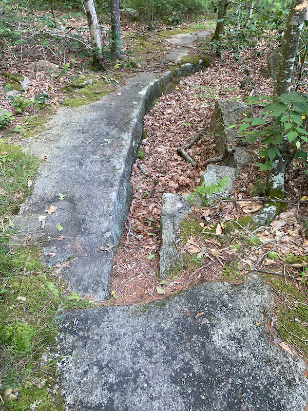 Jul 20 2022 Poi Report Trailforks