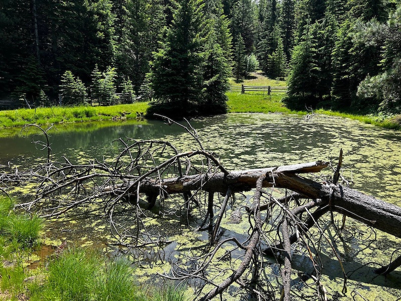 Pomeroy, Washington Mountain Biking Trails | Trailforks