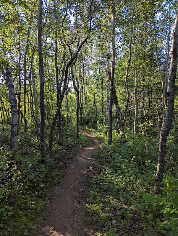 Chester Bowl Rim Mountain Biking Trail - Duluth, MN