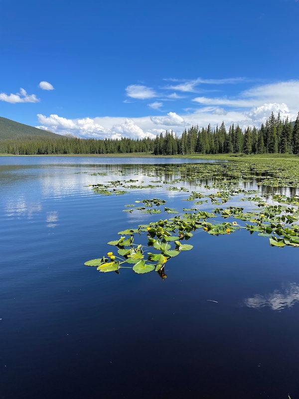 Lilly Lake Mountain Biking Trail - Crested Butte, CO