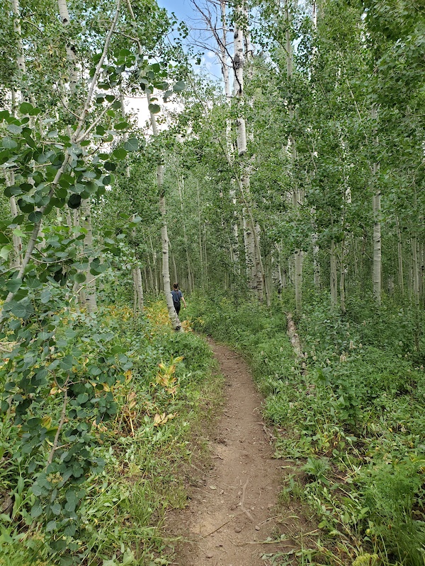 Upper Jones Ranch Multi Trail - Payson, Utah