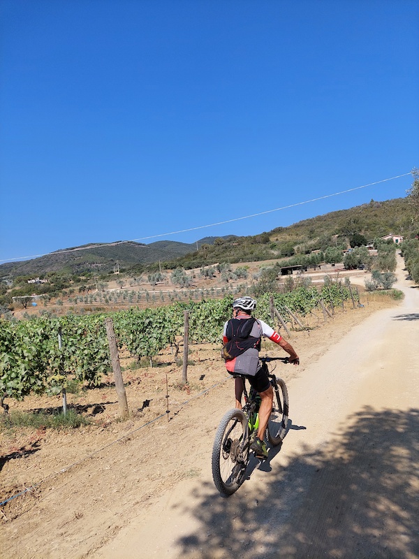 La Crocetta Multi Trail - Livorno | Trailforks