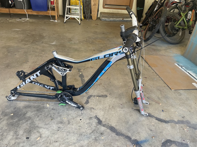 Giant Glory 8.0 For Sale