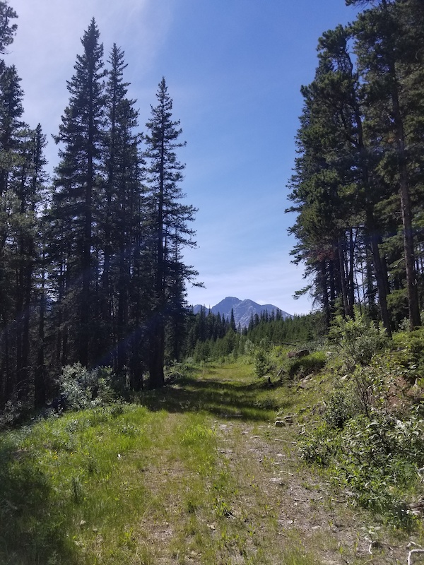 Cataract Creek Multi Trail - Cataract Creek - Alberta
