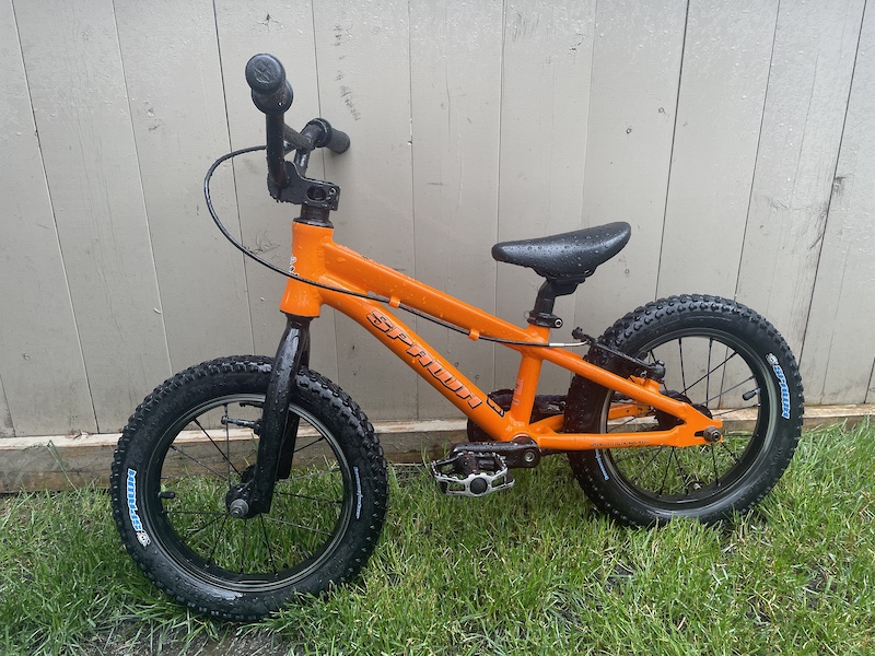 2020 Spawn 14” Yogi For Sale