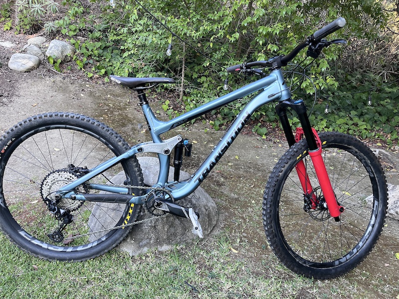 2019 transition scout For Sale