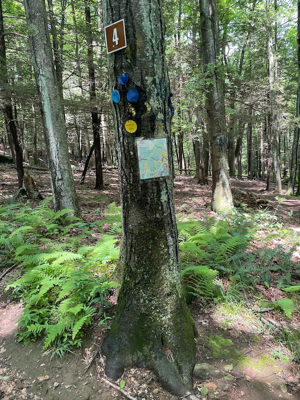 Muscoot Blue Trail Hiking Trail - Katonah, New York