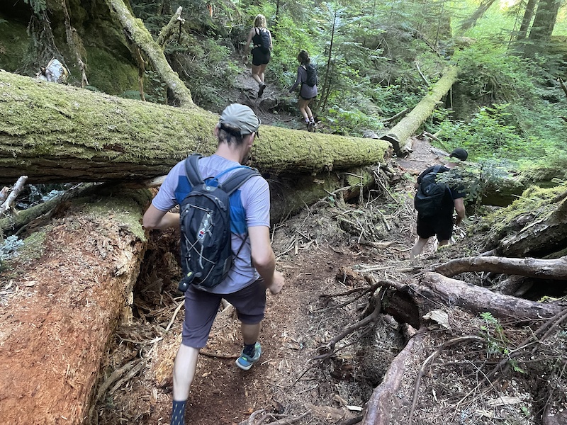 Century Sam Hiking Trail - Comox, British Columbia
