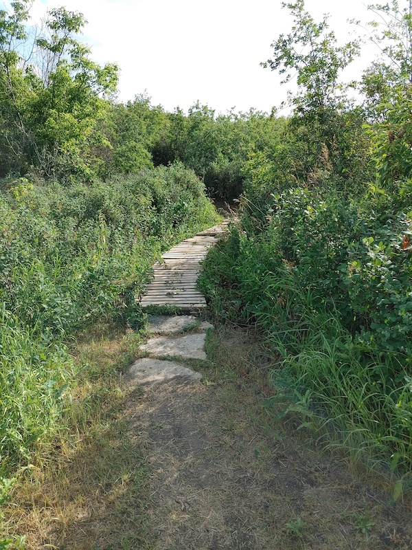 Ride the Ridge 2 2024 - Provincial Championships Mountain Biking Route ...