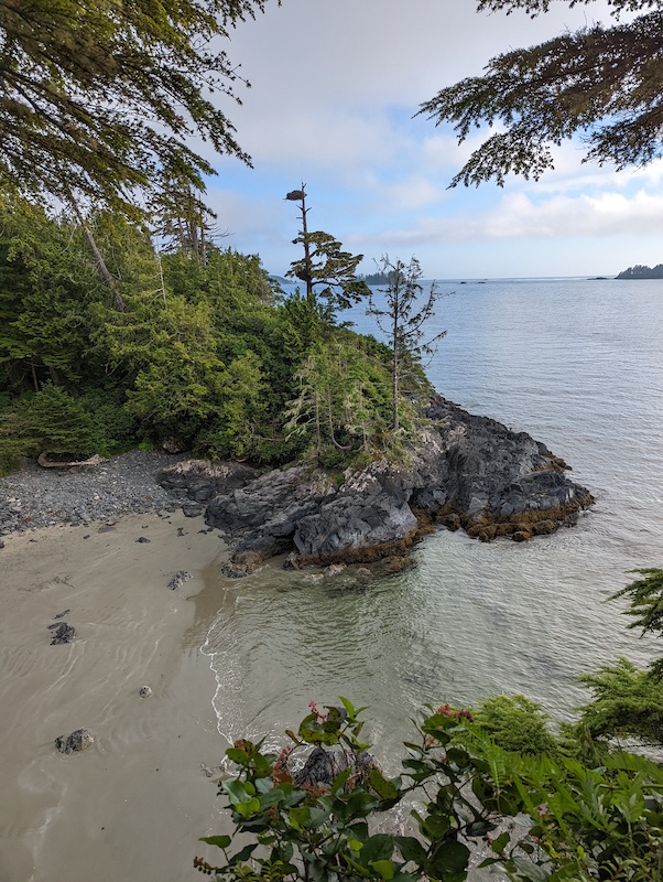 Tonquin Trail Hiking Trail - Tofino, BC | Trailforks