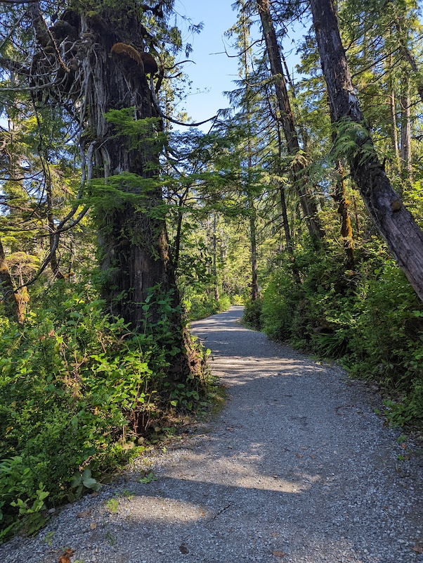 Tonquin Trail Connector Multi Trail - Tofino, BC